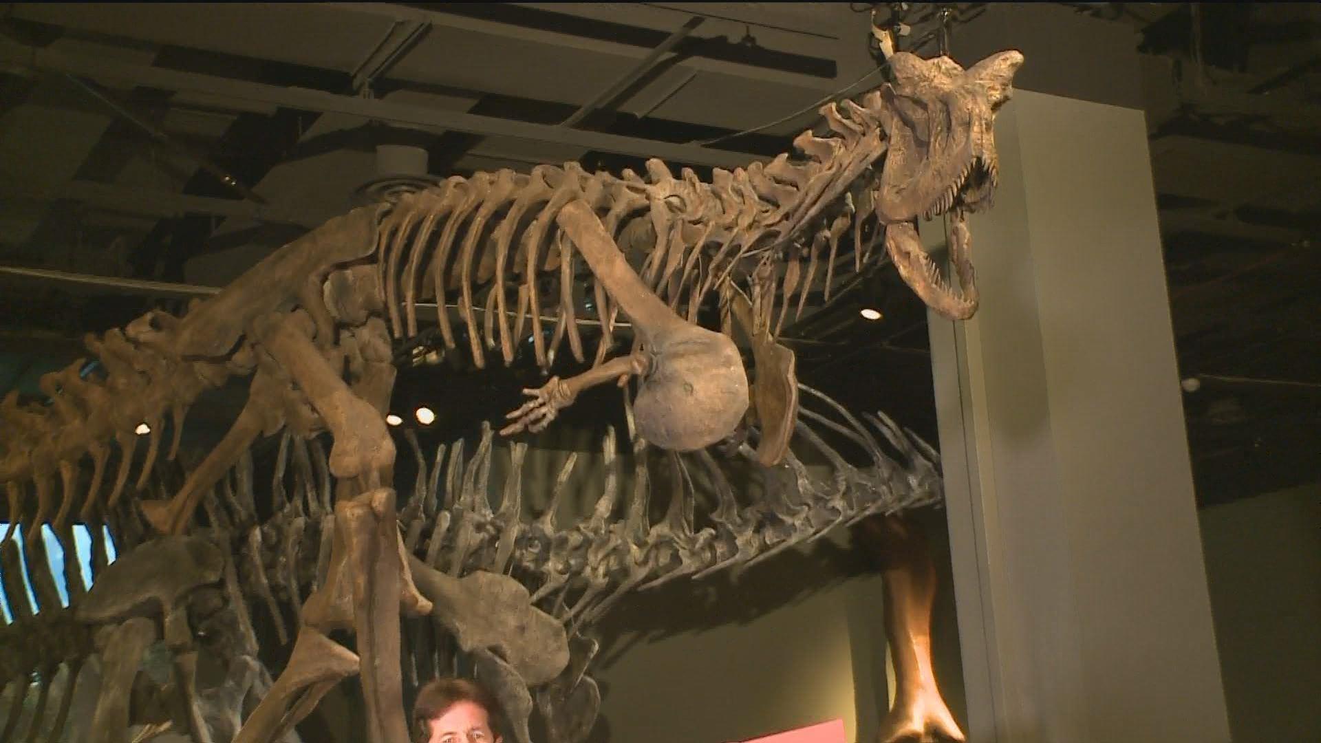 Live at the Science Museum for Ultimate Dinosaurs | kare11.com