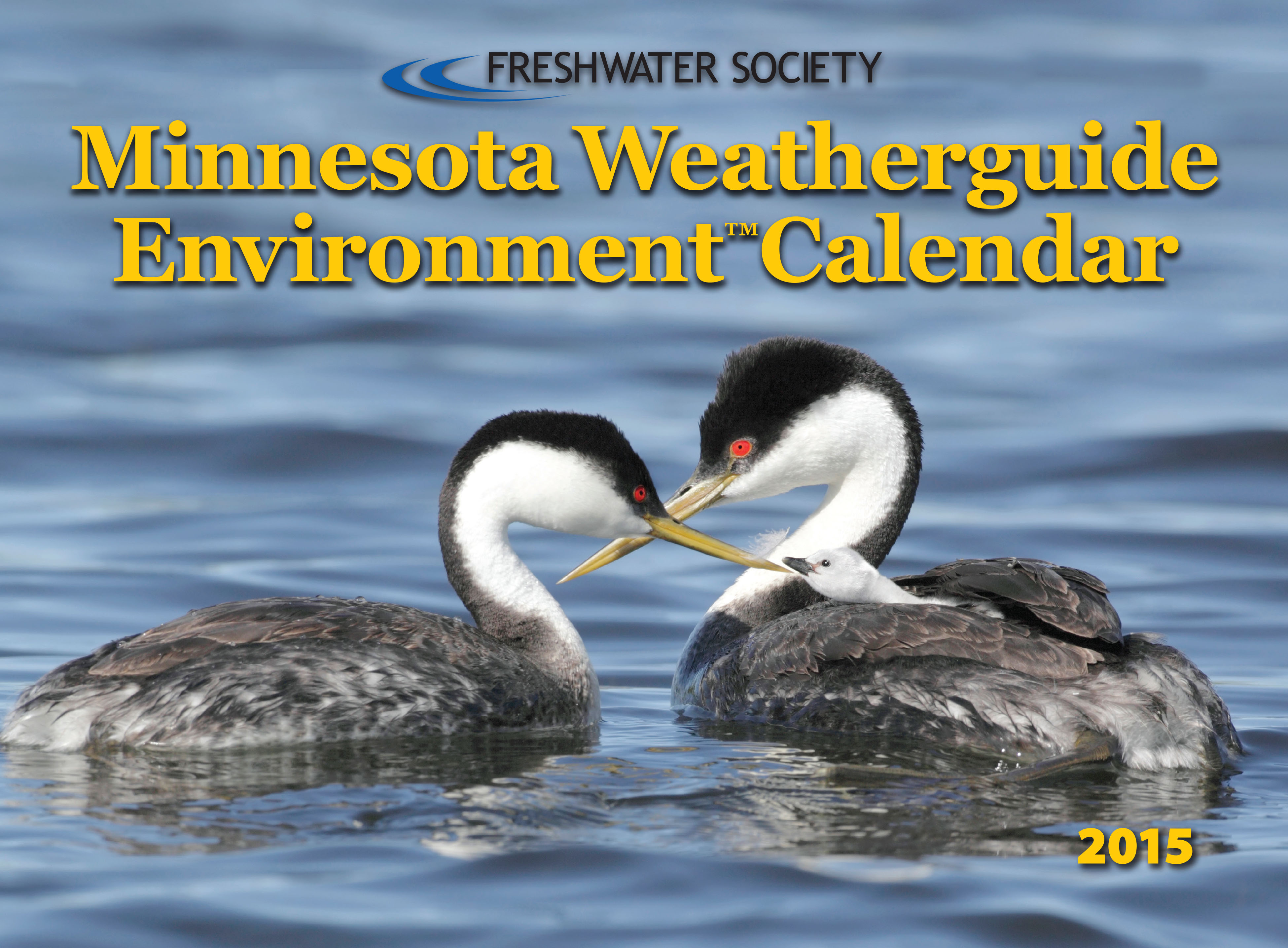 2015 Weatherguide Calendars now available | kare11.com