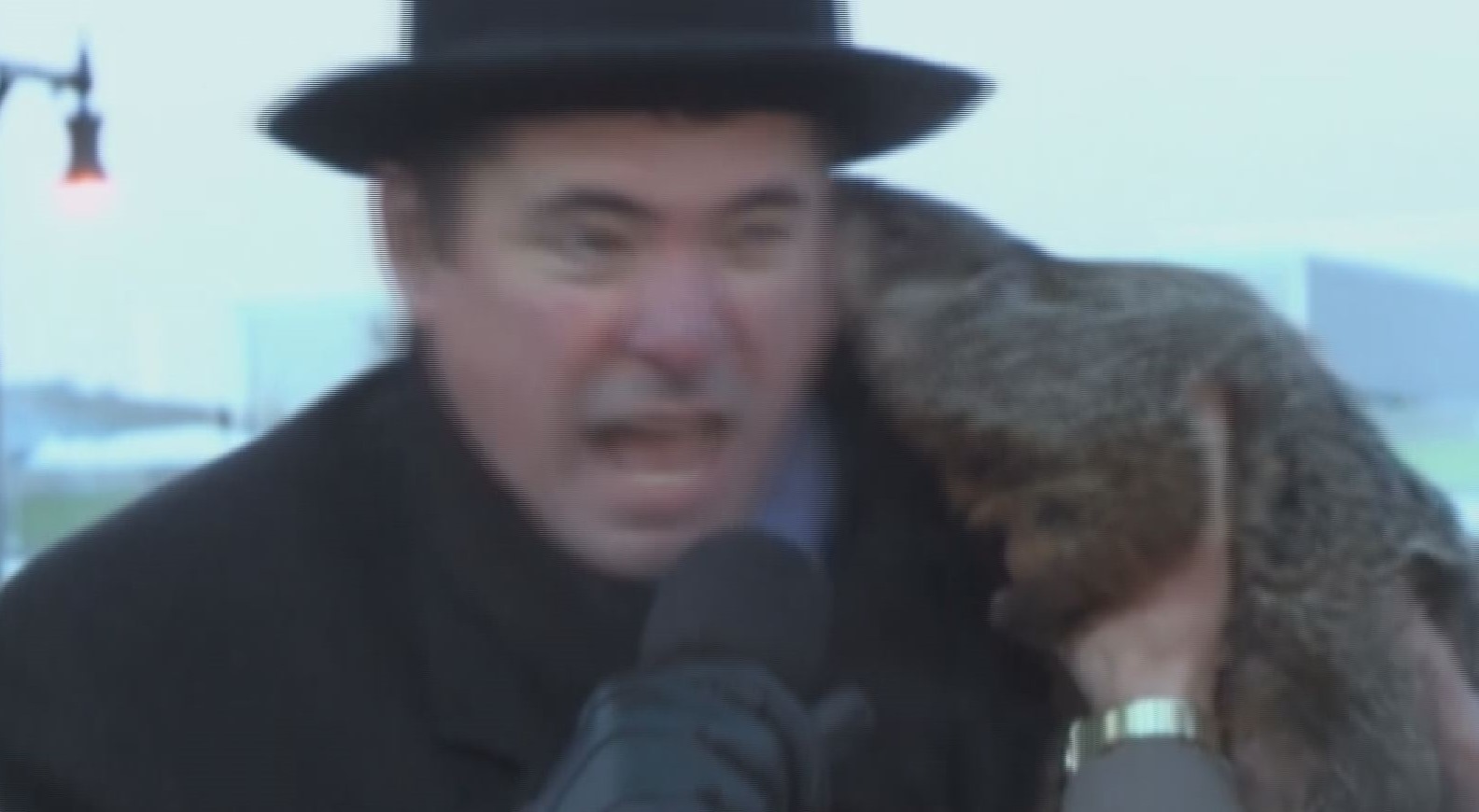 Groundhog bites Wis. mayor during ceremony | kare11.com