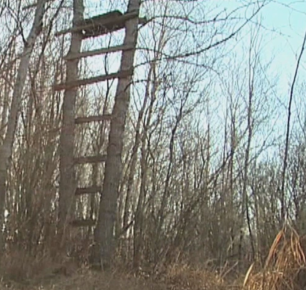 Hunter fatally shot handing gun up to tree stand | kare11.com