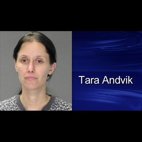 MN woman convicted of arson; blamed ex-lover for fires | kare11.com