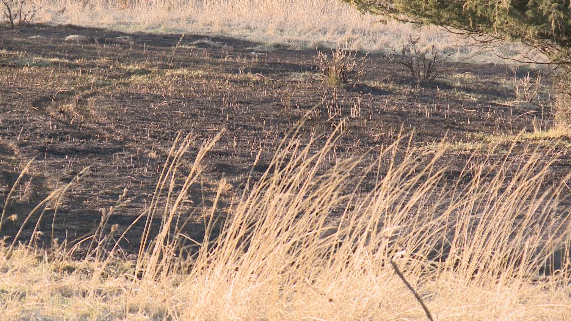 Brush fires burn in Shoreview, across state | kare11.com